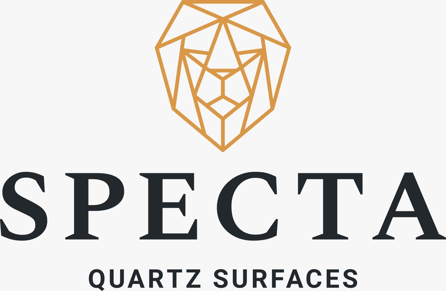 Quartz surface brand Specta to unveil new manufacturing plant to cater to luxury housing growth ...
